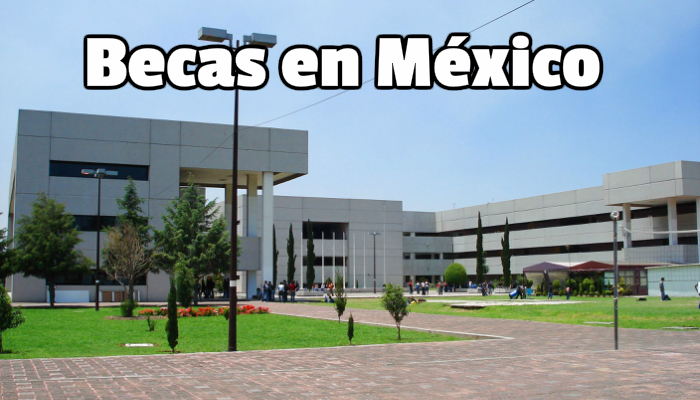 Becas para estudiar en Mexico 2019 - Becas y Estudio
