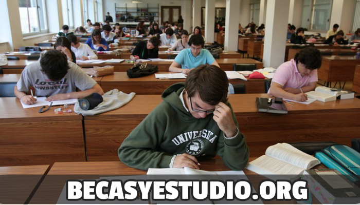 Becas y estudio - Becas y Estudio